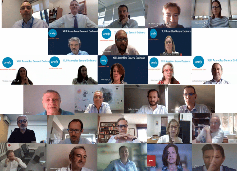 Anefp renueva su Consejo Directivo y hace balance de su actividad | @diariofarma